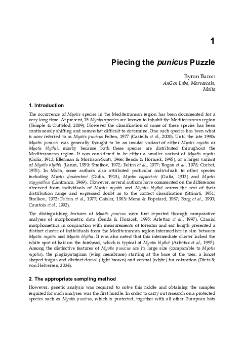 (PDF) Piecing the punicus Puzzle