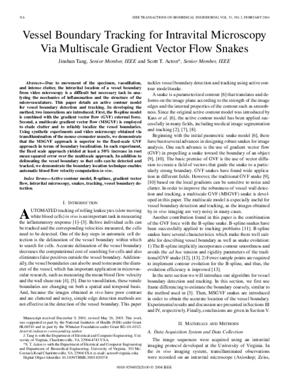 (PDF) Vessel Boundary Tracking for Intravital Microscopy Via Multiscale ...