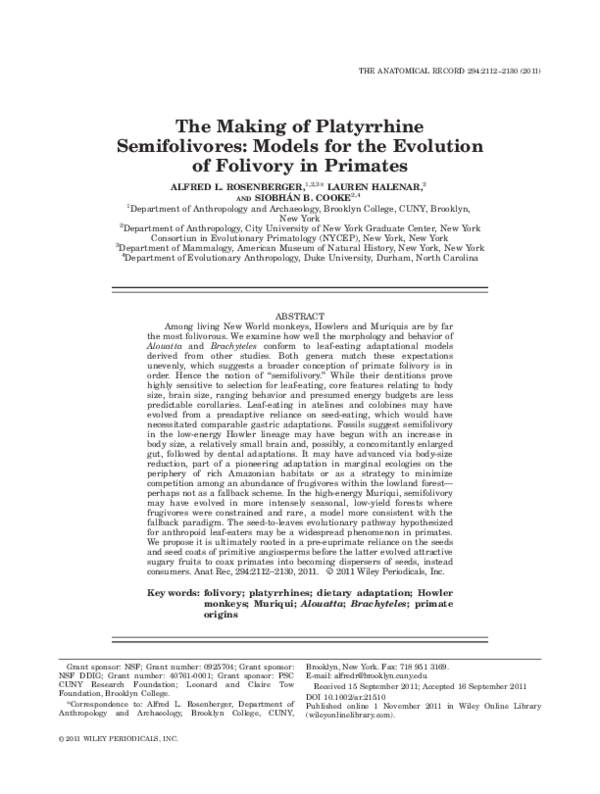 (PDF) The Making of Platyrrhine Semifolivores: Models for the Evolution ...