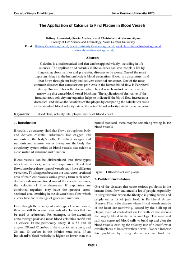 (PDF) Calculus paper