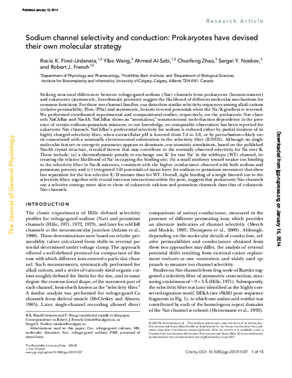 (PDF) Sodium channel selectivity and conduction: Prokaryotes have ...