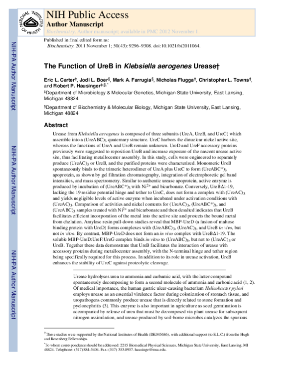 (PDF) Function of UreB in Klebsiella aerogenes Urease