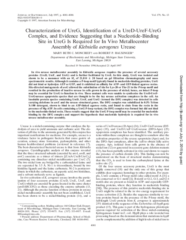 (PDF) Characterization of UreG, identification of a UreD-UreF-UreG ...