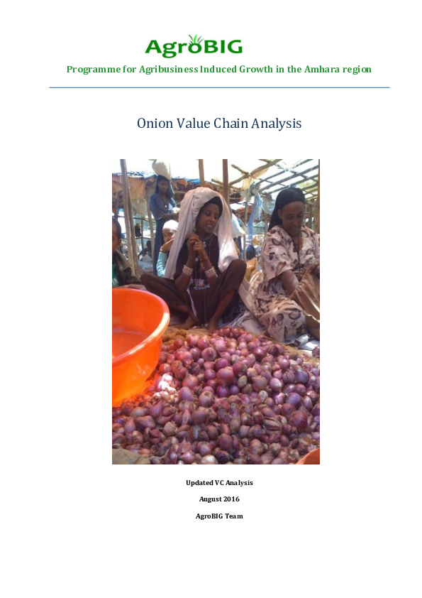 (PDF) .1 Value Chain Analysis ONION Update Aug