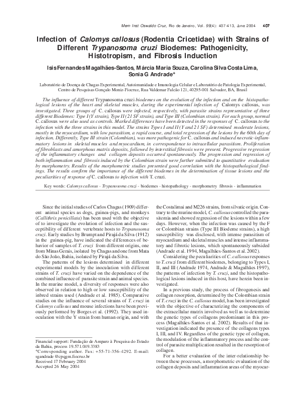 (PDF) Infection of Calomys callosus (Rodentia Cricetidae) with strains ...
