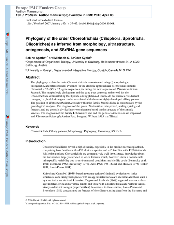 (PDF) Phylogeny of the order Choreotrichida (Ciliophora, Spirotricha ...
