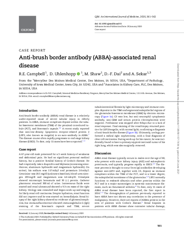 (PDF) Anti-Brush Border Antibody Associated Renal Disease (ABBA)