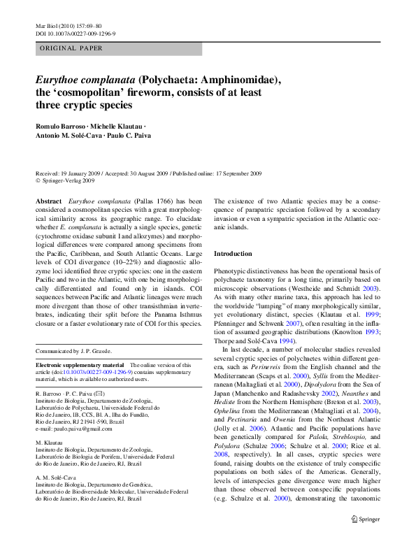 (PDF) Eurythoe complanata (Polychaeta: Amphinomidae), the 'cosmopolitan ...