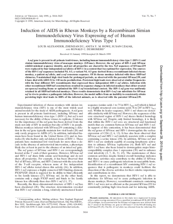 (PDF) Induction of AIDS in rhesus monkeys by a recombinant simian ...