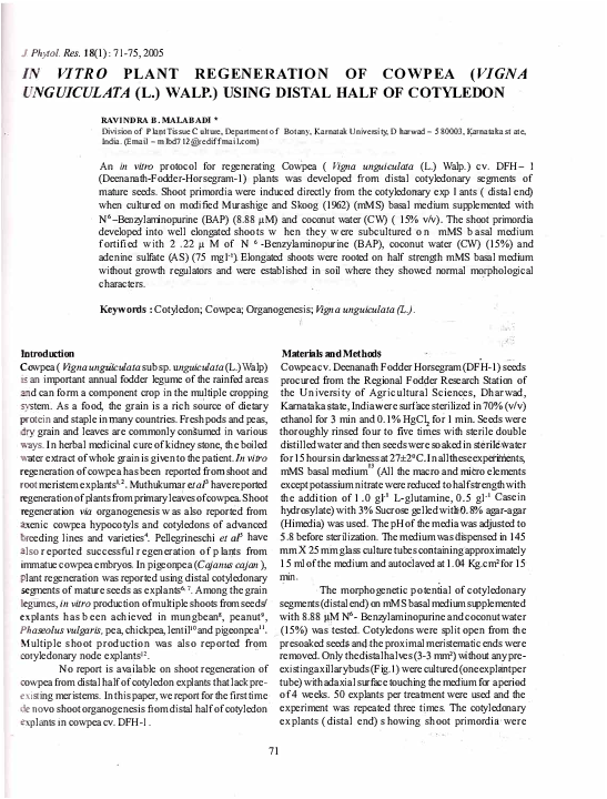 (PDF) In vitro Plant Regeneration of Cowpea (Vigna unguiculata L. Walp ...