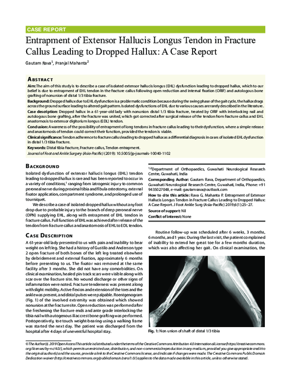 (PDF) Entrapment of Extensor Hallucis Longus Tendon in Fracture Callus ...