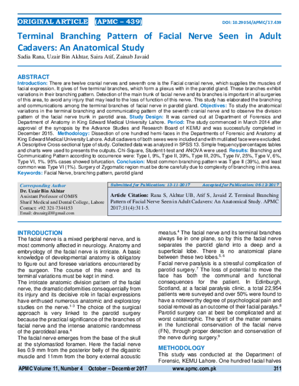 (PDF) Terminal Branching Pattern of Facial Nerve Seen in Adult Cadavers ...