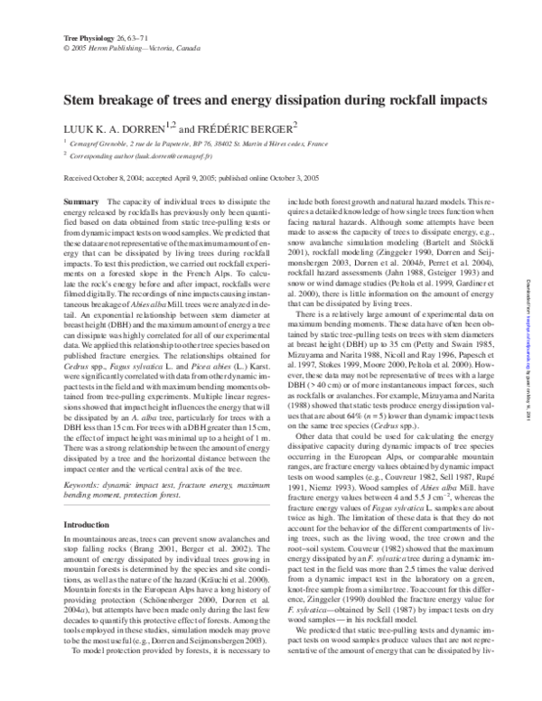 (PDF) Stem breakage of trees and energy dissipation during rockfall impacts