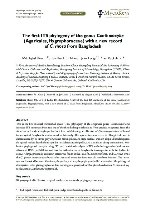 (PDF) The first ITS phylogeny of the genus Cantharocybe (Agaricales ...