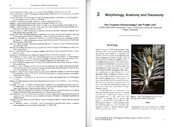 (PDF) Morphology, anatomy and taxonomy
