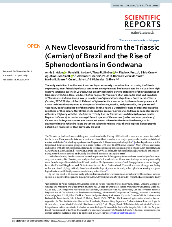 (PDF) A New Clevosaurid from the Triassic (Carnian) of Brazil and the ...