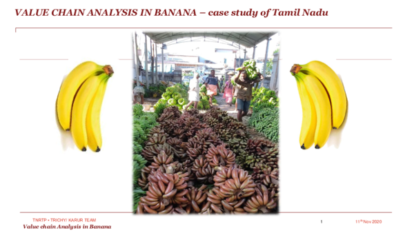 (PDF) Value Chain Analysis in Banana- Tamilnadu