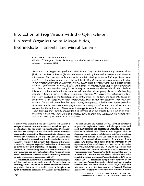 (PDF) Interaction of frog virus-3 with the cytoskeleton. I. Altered ...
