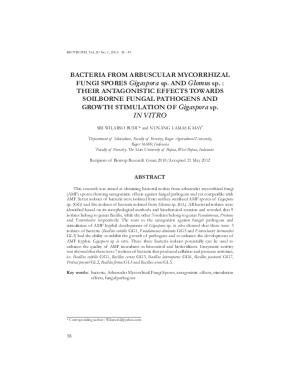 (PDF) BACTERIA FROM ARBUSCULAR MYCORRHIZAL FUNGI SPORES Gigaspora sp ...