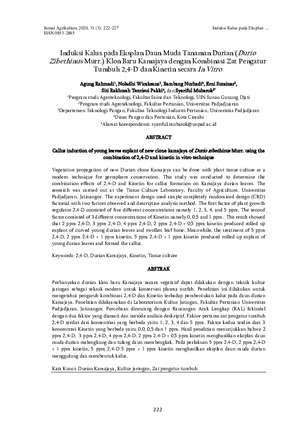 (PDF) Induksi Kalus pada Eksplan Daun Muda Tanaman Durian (Durio ...