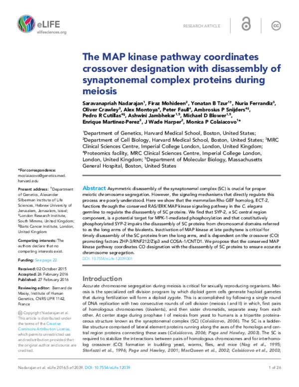 (PDF) The MAP kinase pathway coordinates crossover designation with ...