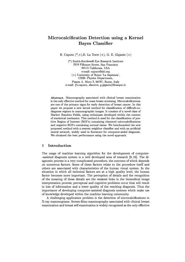 (PDF) Microcalcification detection using a kernel bayes classifier