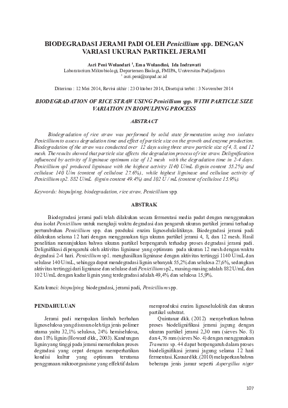 (PDF) BIODEGRADASI JERAMI PADI OLEH Penicillium spp. DENGAN VARIASI ...