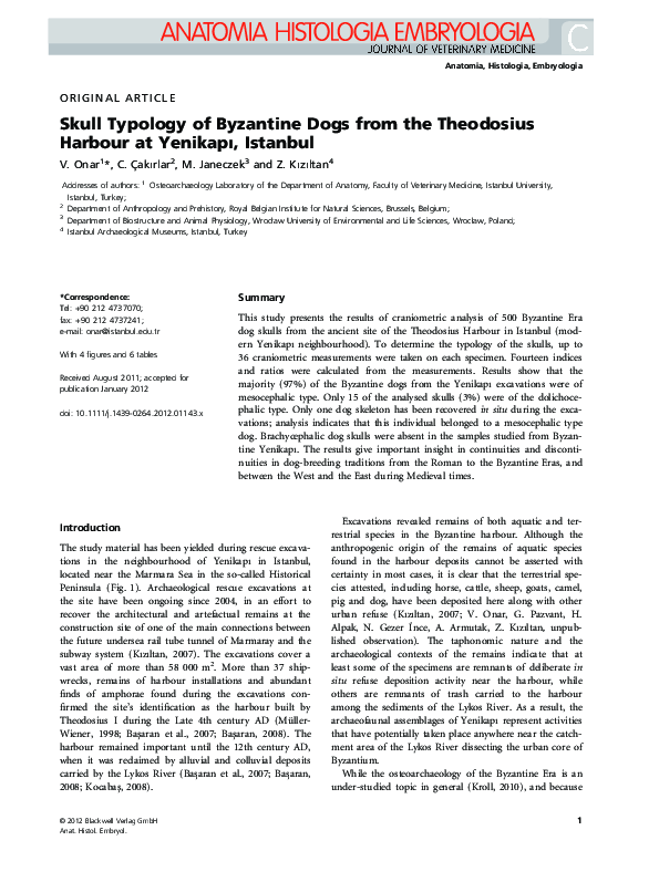 (PDF) Skull Typology of Byzantine Dogs from the Theodosius Harbour at ...