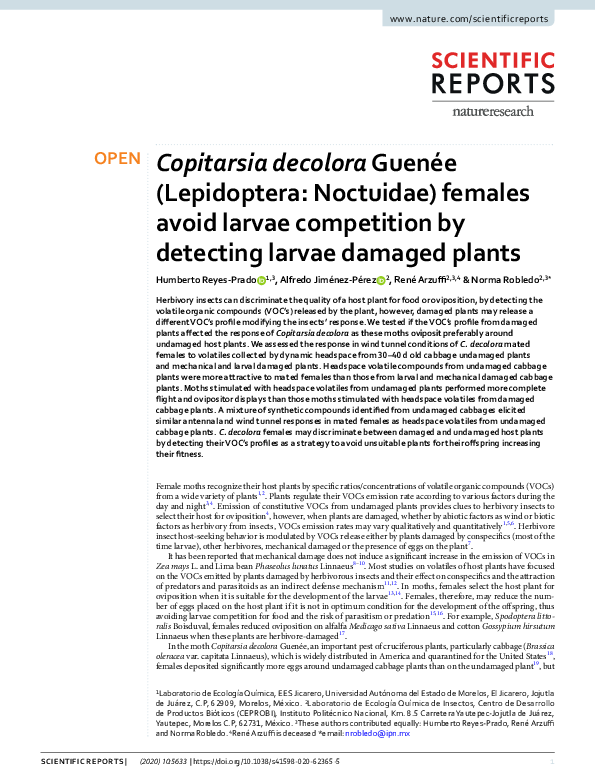 (PDF) Copitarsia decolora Guenée (Lepidoptera: Noctuidae) females avoid ...