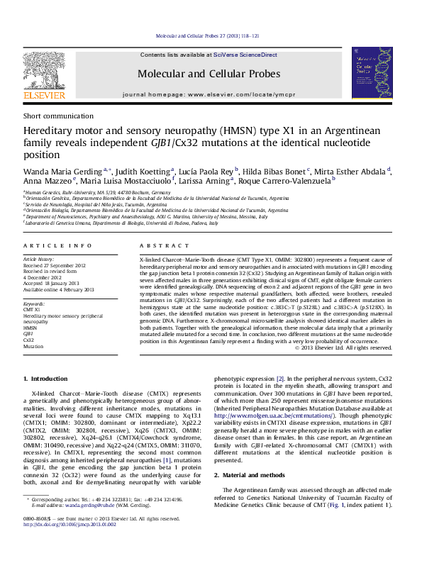 (PDF) Hereditary motor and sensory neuropathy (HMSN) type X1 in an ...