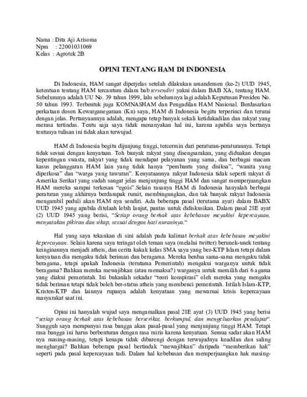 (DOC) TUGAS KWN OPINI TENTANG HAM DI INDONESIA