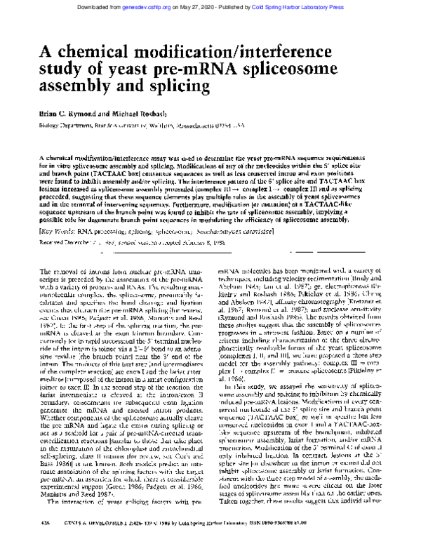 (PDF) A chemical modification/interference study of yeast pre-mRNA ...