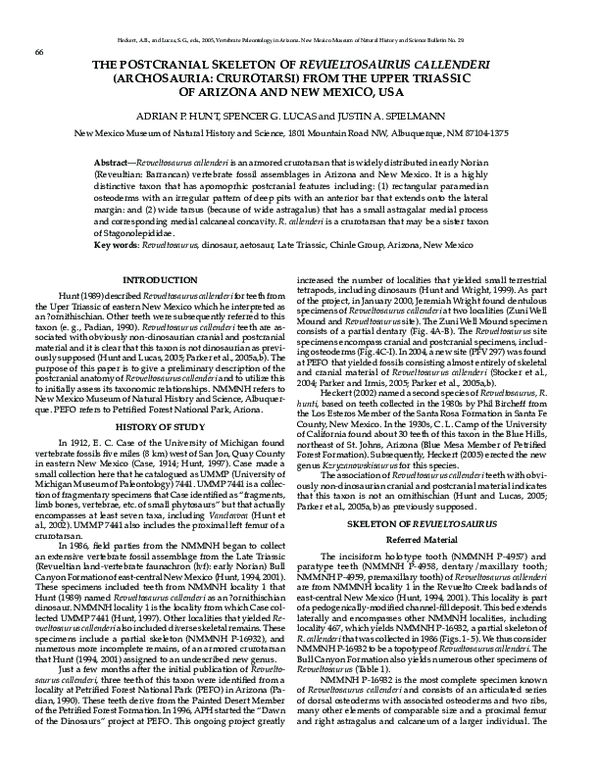 (PDF) The postcranial skeleton of Revueltosaurus callenderi ...