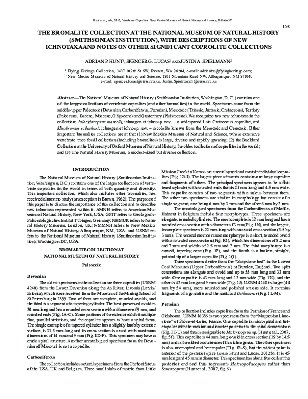(PDF) The Bromalite Collection at the National Museum of Natural ...