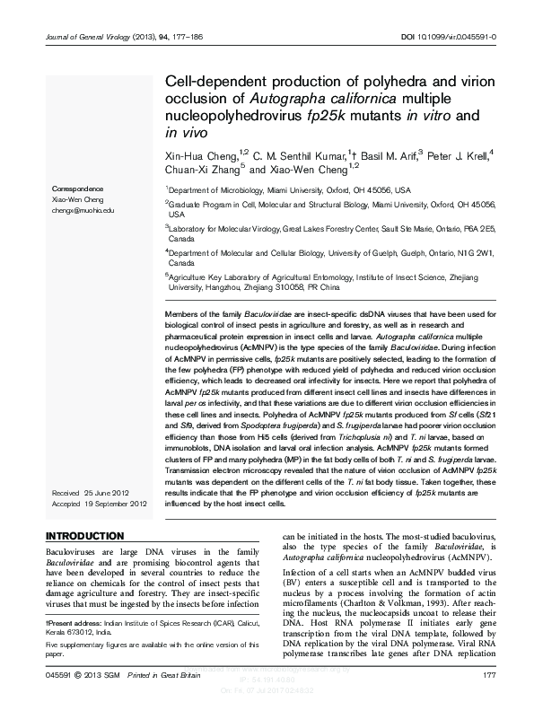 (PDF) Cell-dependent production of polyhedra and virion occlusion of ...