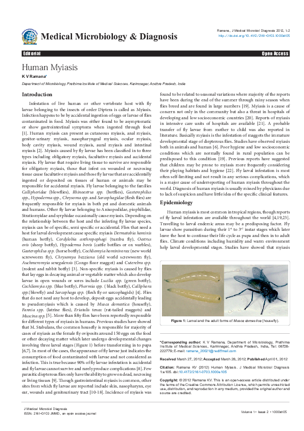 (PDF) Human Myiasis