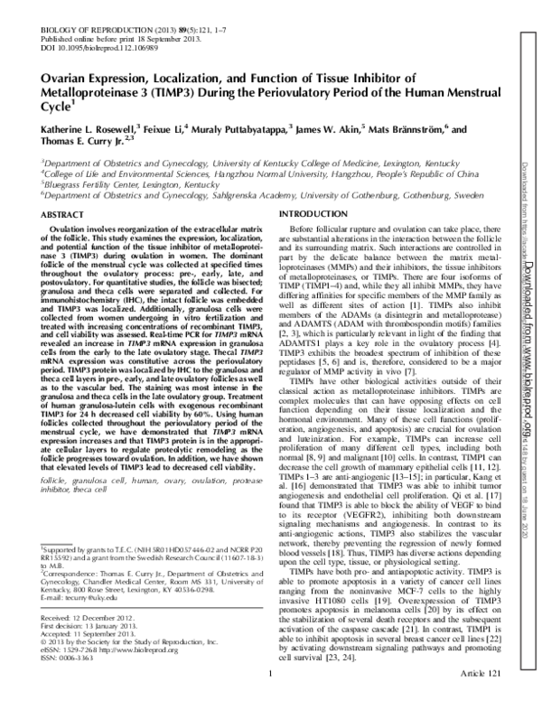 (PDF) TIMP3 Role in Ovarian Function During Ovulation