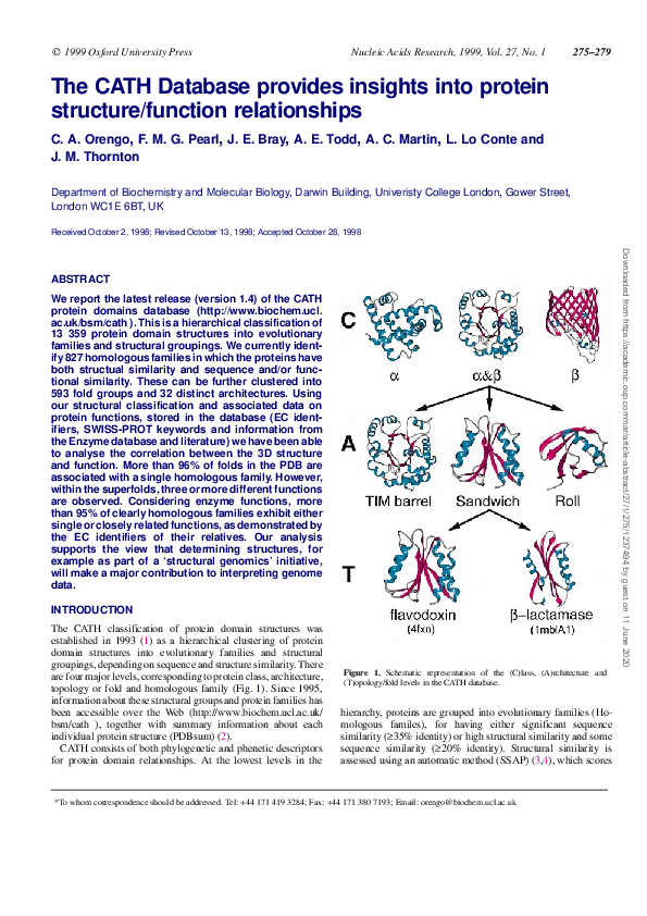 (PDF) The CATH Database provides insights into protein structure ...