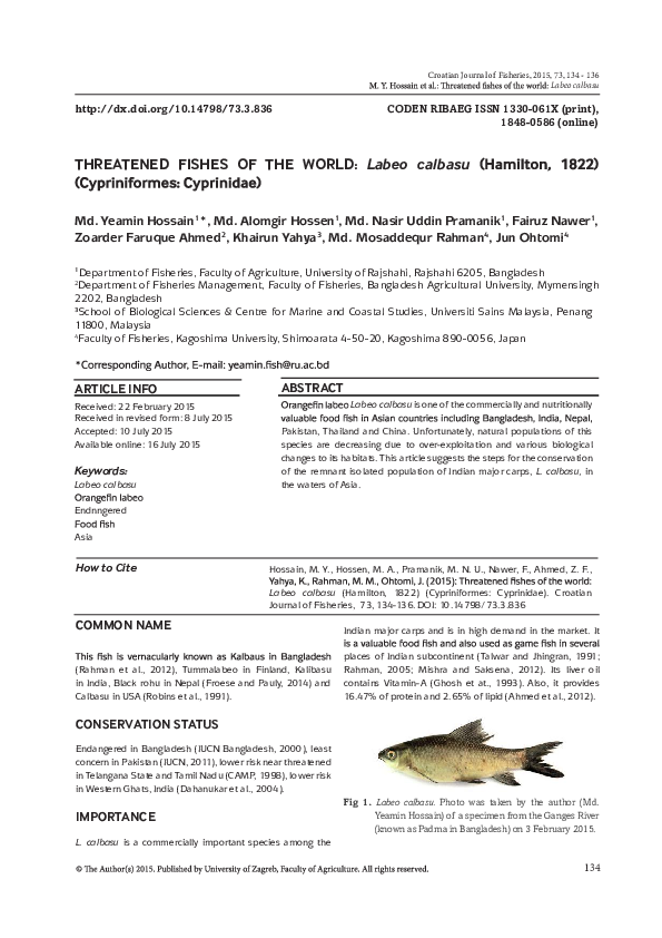 (PDF) THREATENED FISHES OF THE WORLD: Labeo calbasu (Hamilton, 1822 ...