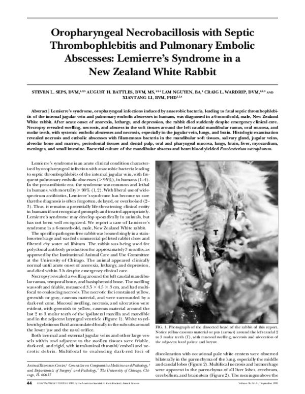 (PDF) Oropharyngeal Necrobacillosis with Septic Thrombophlebitis and ...