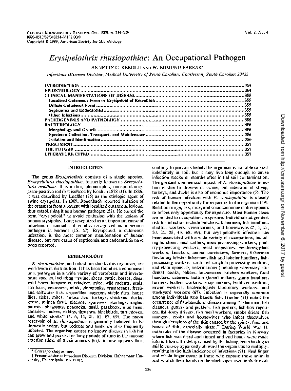 (PDF) Erysipelothrix rhusiopathiae: an occupational pathogen