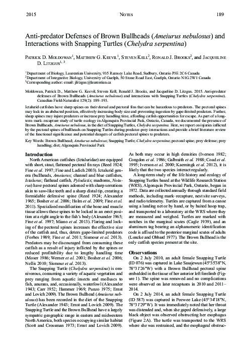 (PDF) Anti-predator defenses of Brown Bullheads ( Ameiurus nebulosus ...