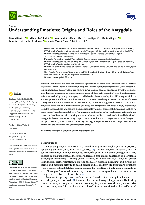 (PDF) Understanding Emotions: Origins and Roles of the Amygdala