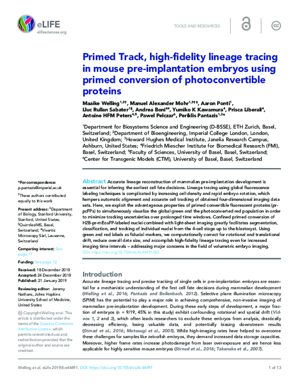(PDF) Primed Track, high-fidelity lineage tracing in mouse pre ...