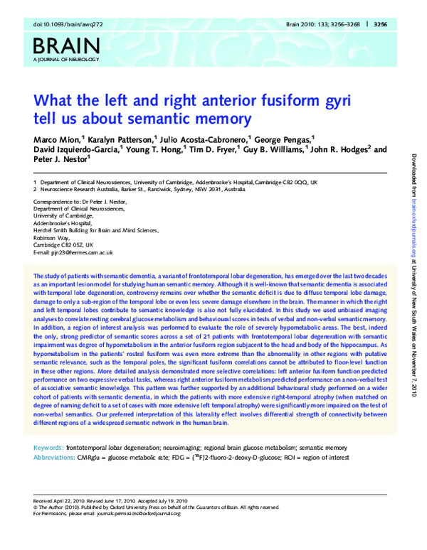 (PDF) What the left and right anterior fusiform gyri tell us about ...