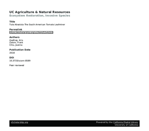 (PDF) Tuta Absoluta The South American Tomato Leafminer