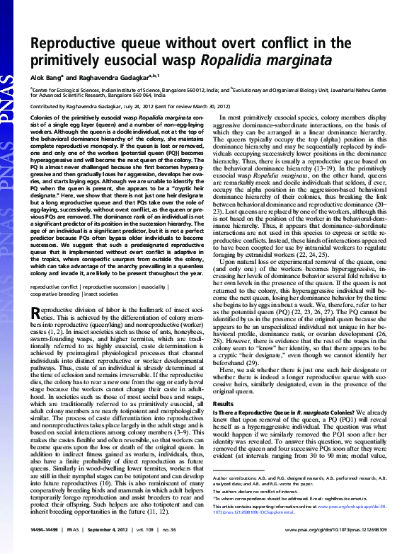 (PDF) Reproductive queue without overt conflict in the primitively ...