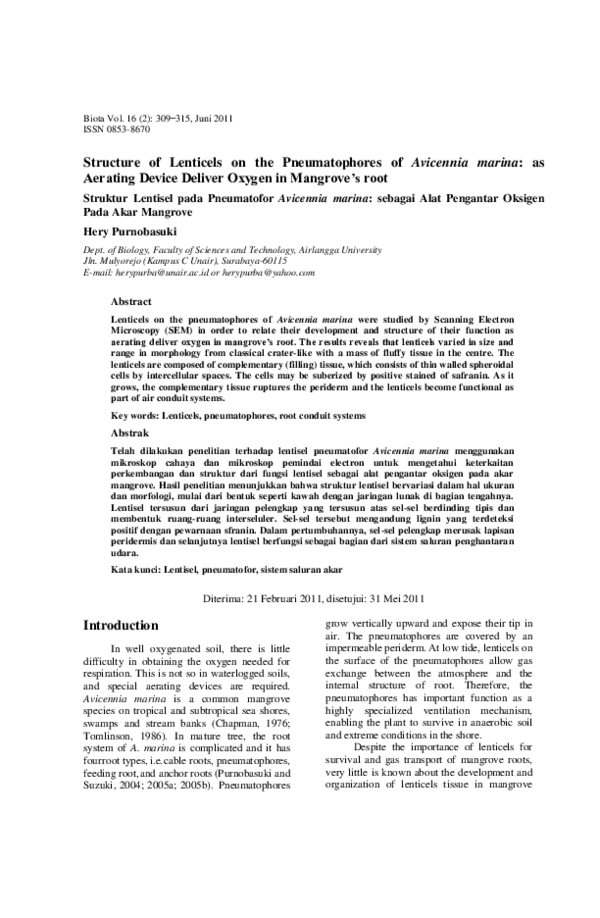 (PDF) Struktur Lentisel pada Pneumatofor Avicennia marina: sebagai Alat ...