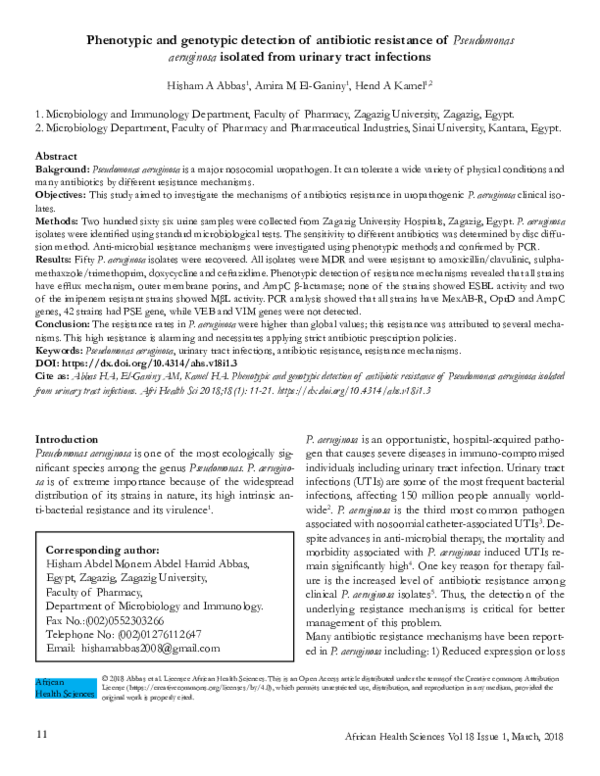 (PDF) Phenotypic and genotypic detection of antibiotic resistance of Pseudomonas aeruginosa ...