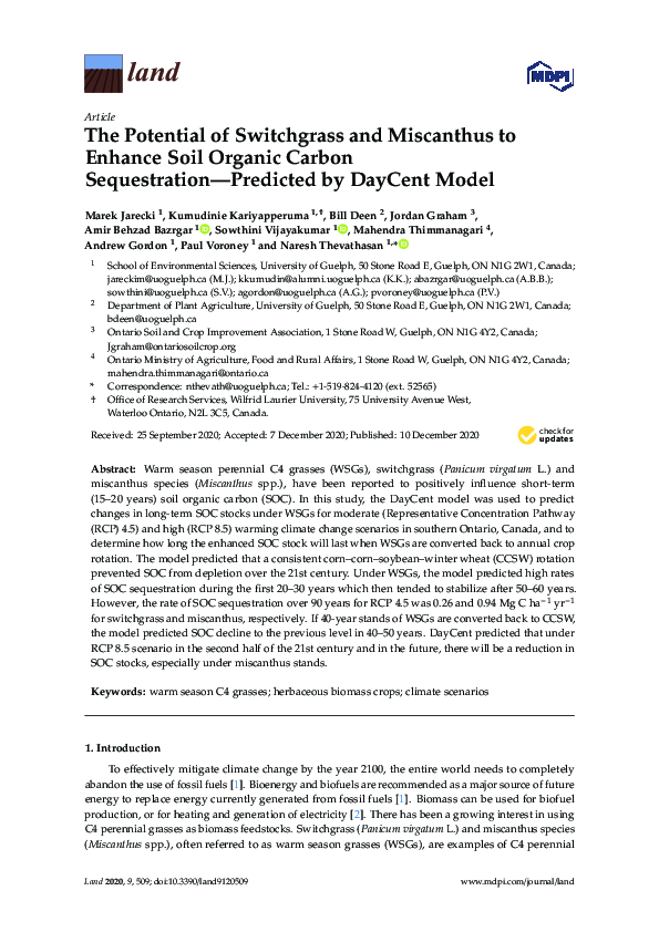 (PDF) The Potential of Switchgrass and Miscanthus to Enhance Soil ...